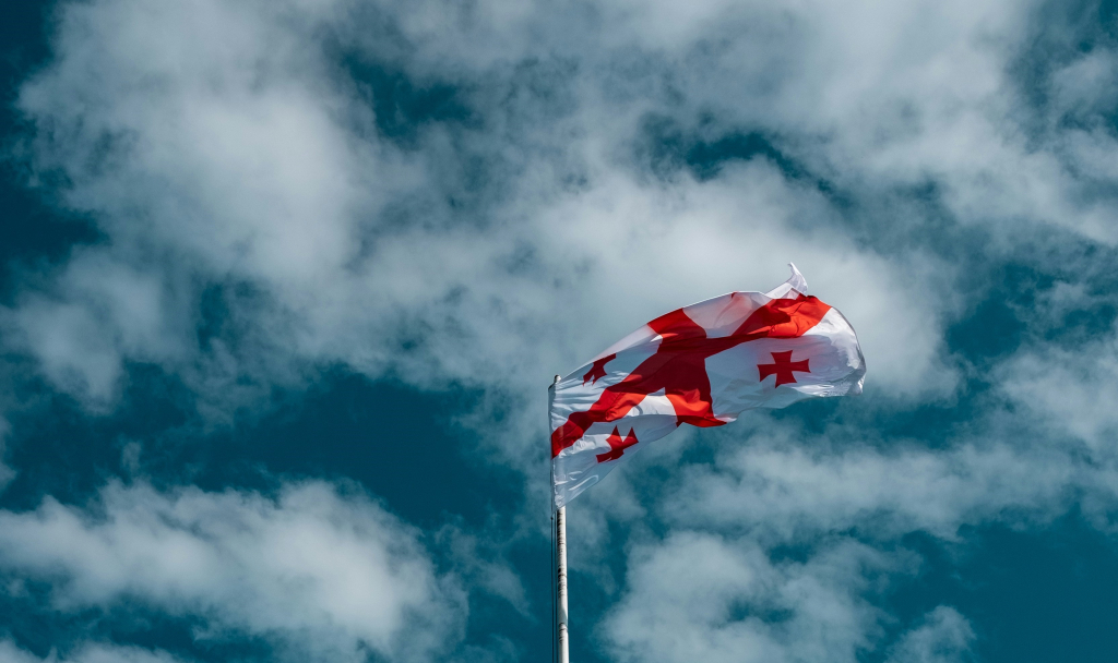 In solidarity with Georgian civil society and the people of Georgia ...